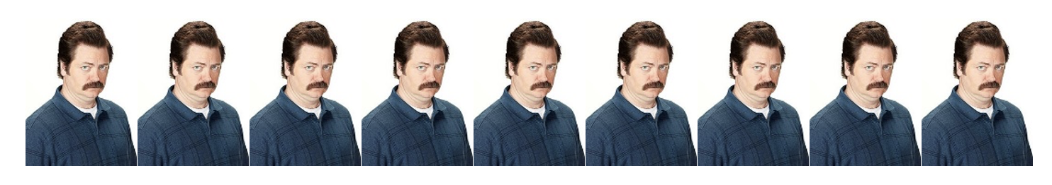 Nine Ron Swansons - Citizen Action Defense Fund